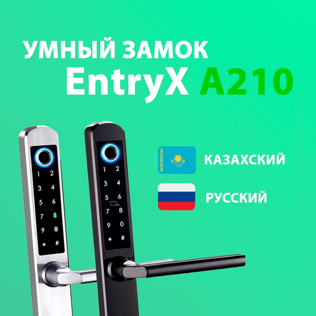 Электронный замок EntryX A210 | 【Электронные замки EntryX, Tenon】купить по лучшей цене с ...